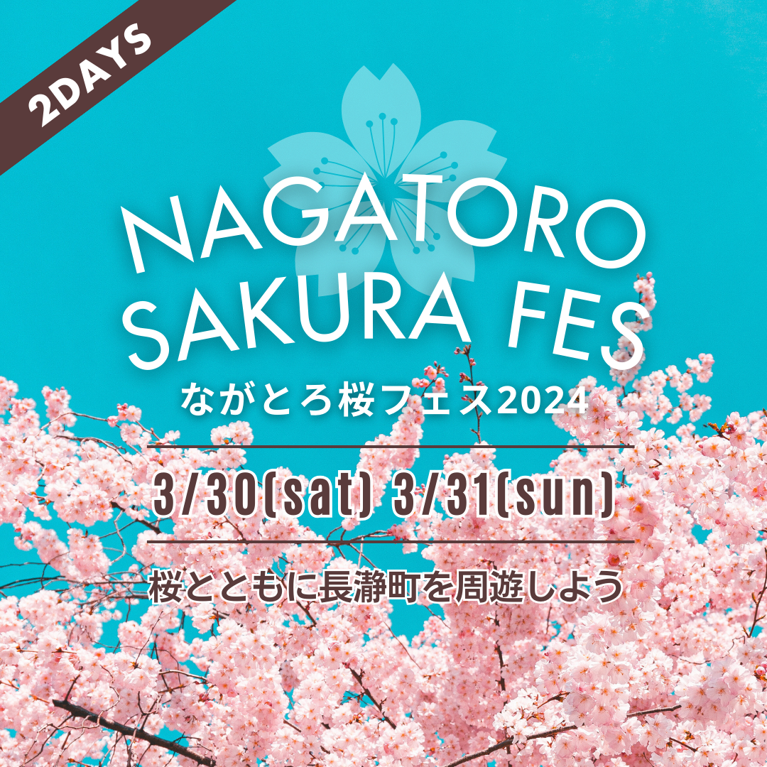 ながとろ桜フェス／②店舗から参加 | UPDRAFT ONLINE STORE